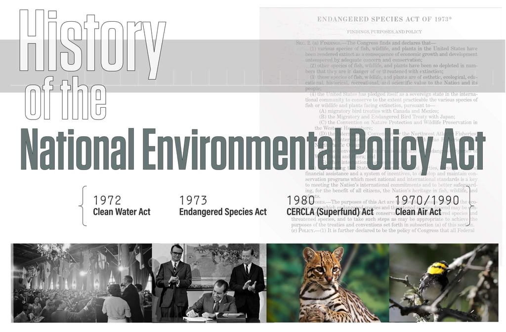 NEPA: Understanding Environmental Impact Assessments | Transect