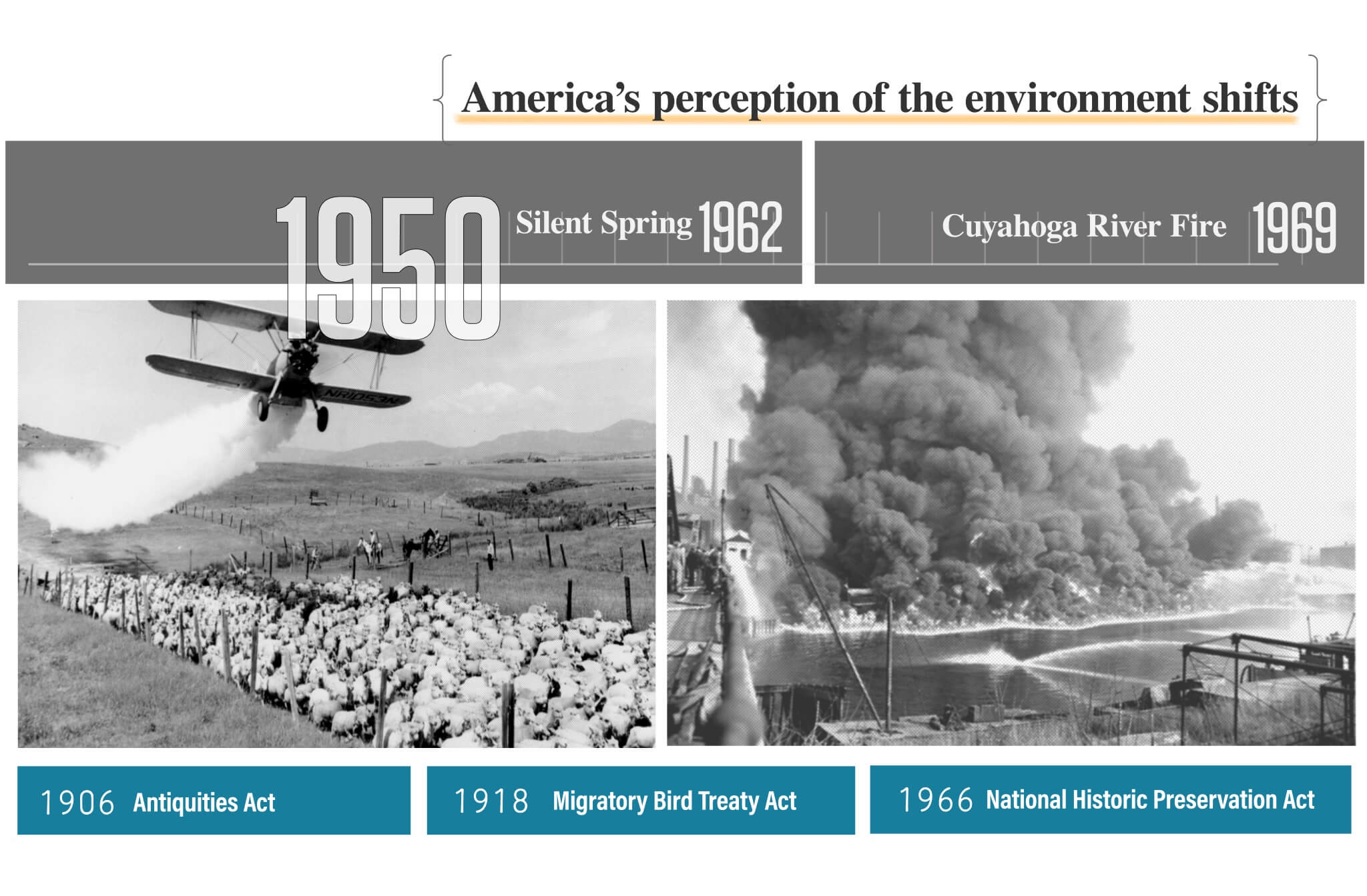 NEPA: Understanding Environmental Impact Assessments | Transect