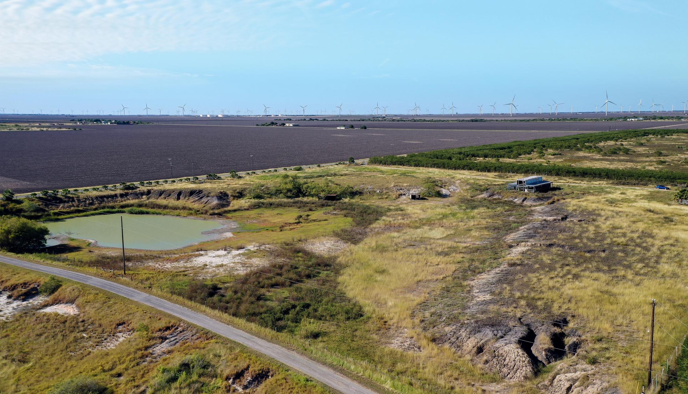 National Wetlands Inventory Mapping (2023) | Transect